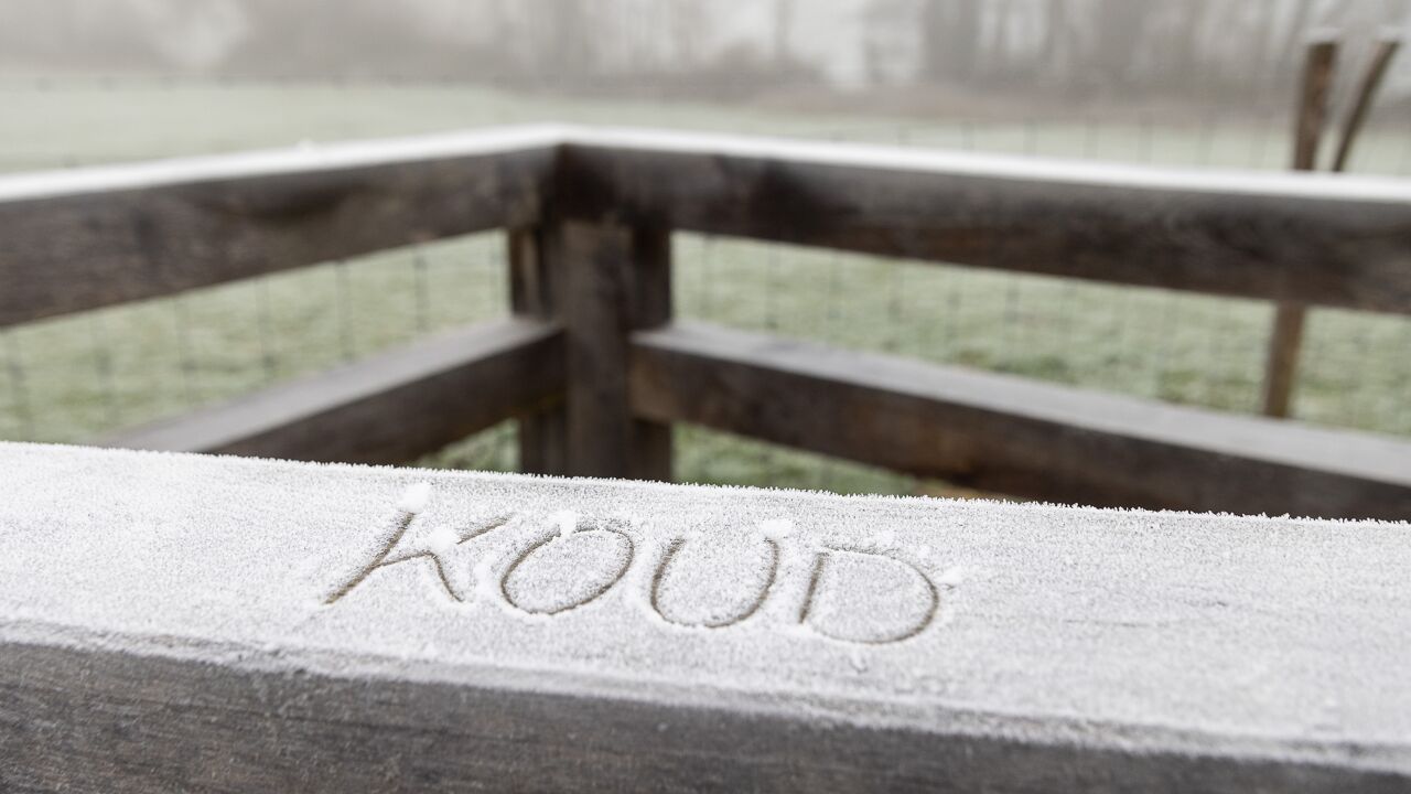 Waarom is het -2°C buiten, maar voelt het als -10°C? “Alles hangt af van de wind” | VRT NWS: nieuws