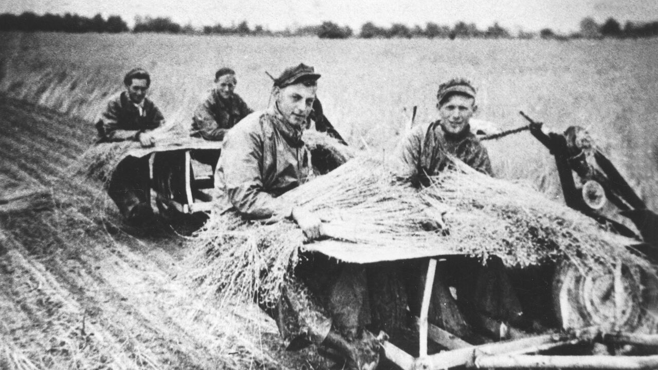 Geschiedenis van de seizoensarbeiders van het Hageland komt tot leven in Aarschot | VRT NWS: nieuws