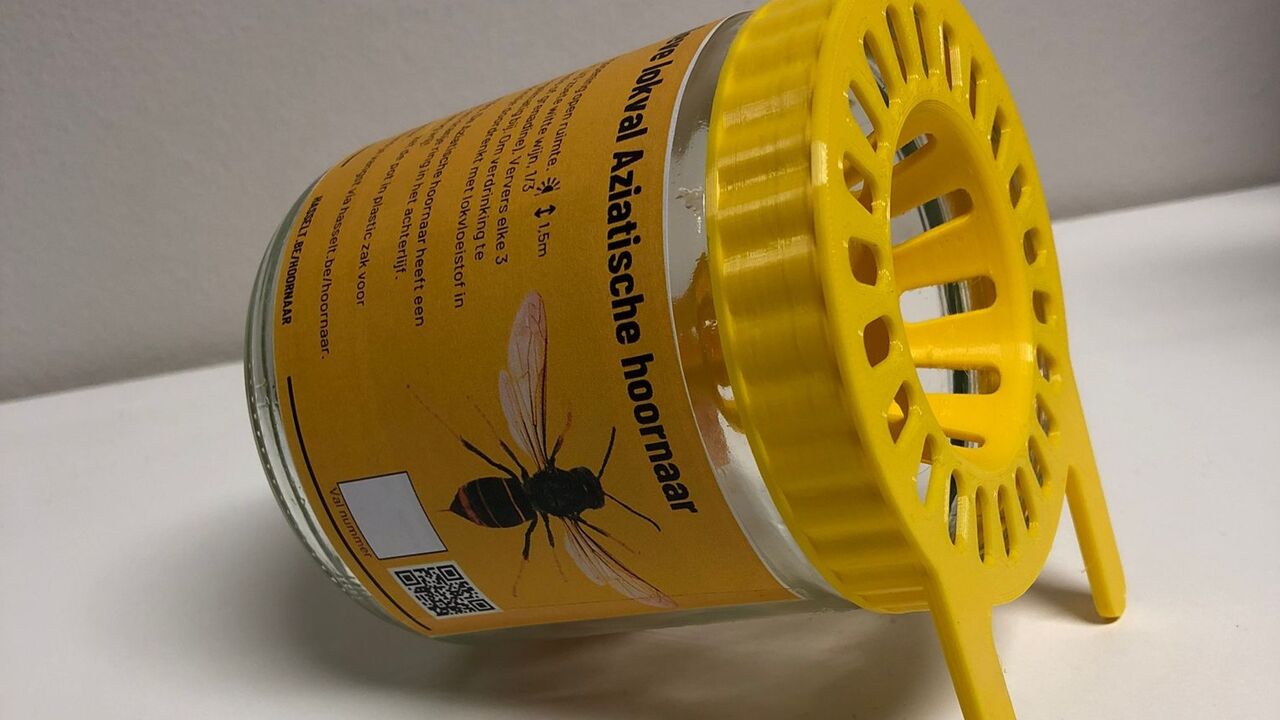 Stad Hasselt wil met 3D-geprinte lokvallen strijd aangaan met ...