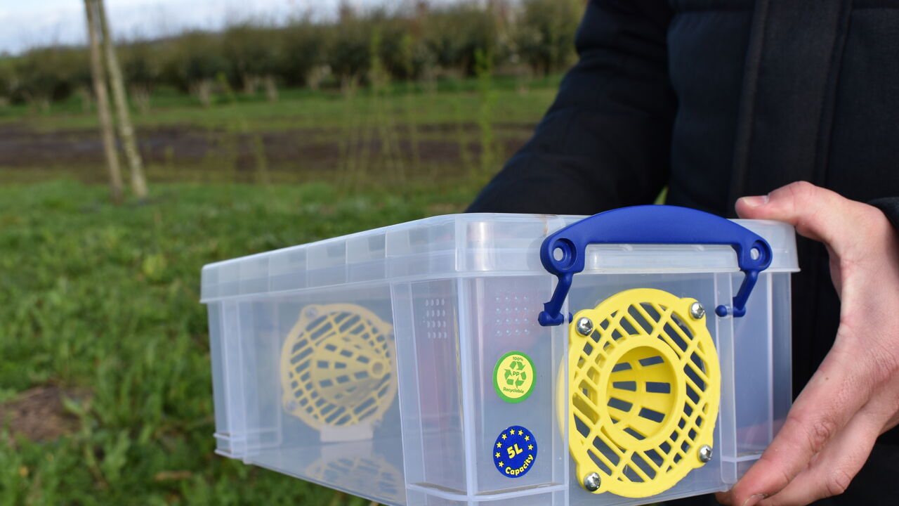 Provincie West-Vlaanderen deelt 600 extra lentevallen uit, in strijd ...