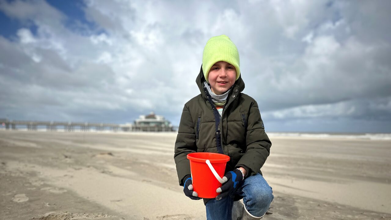 Vrijwilligers tellen 50.000 schelpen op strand: "Ze krijgen meteen ook ...
