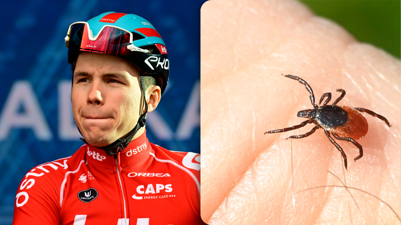 Arnaud De Lie test positief op lyme: heeft dat effect op ...