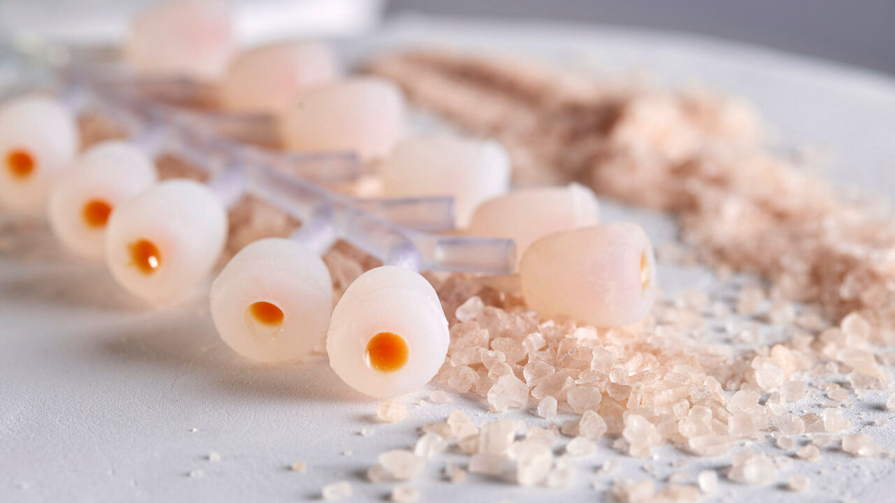 Microalgen als voedsel van de toekomst: "Gezond, nu aan de slag met ...