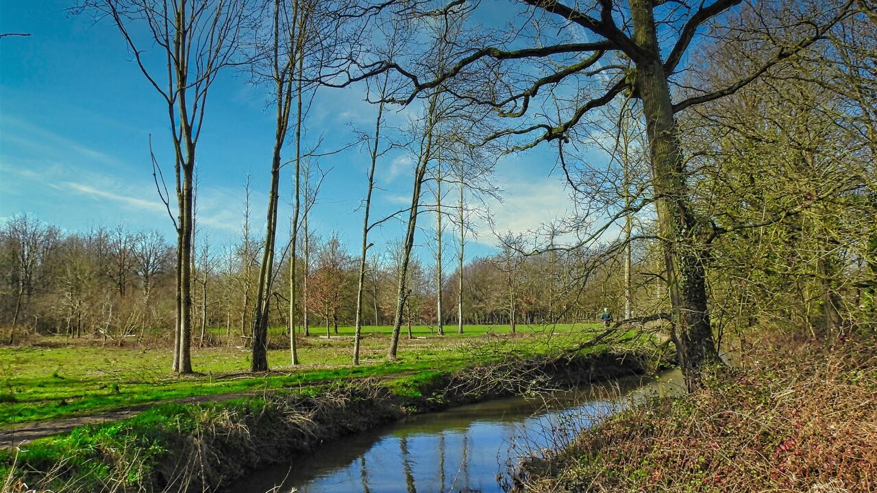 Wandelaar valt in beek natuurgebied Dunbergbroek Holsbeek: "Pad ...