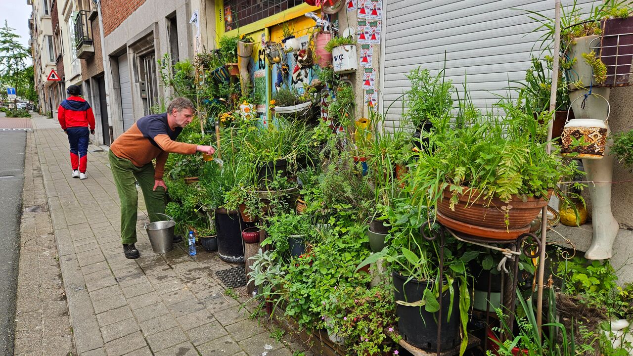 Al bijna 2.000 handtekeningen om geveltuin van Peter in Antwerpen te ...