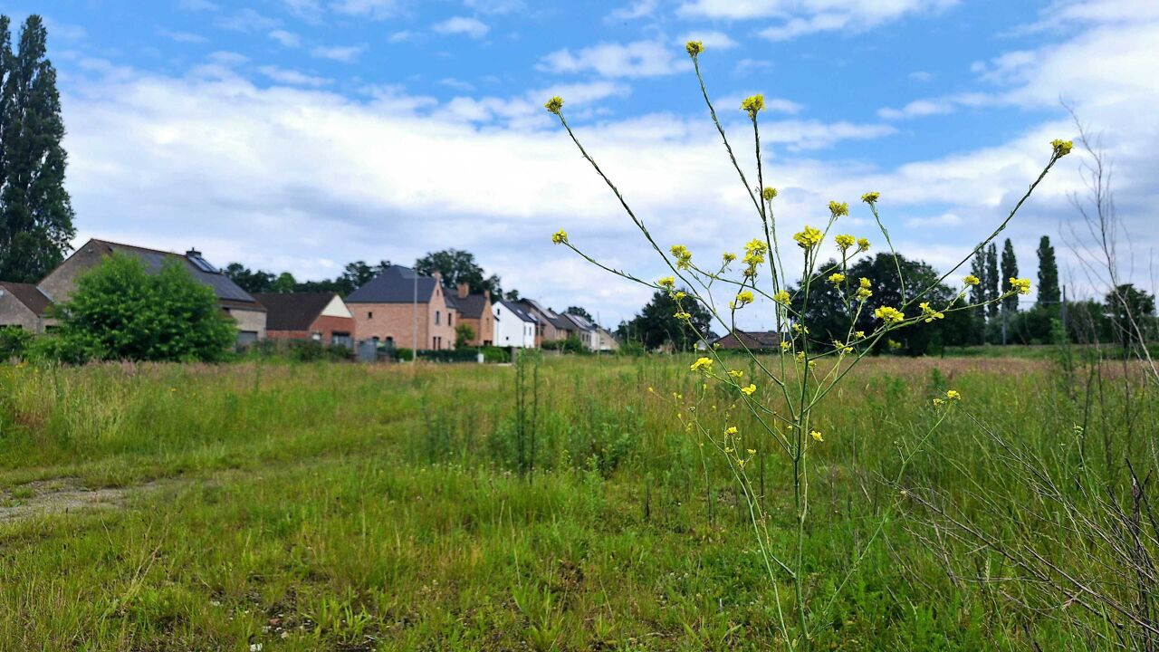2 hectare bouwgrond in Kuringen-Heide wordt speelveld voor kinderen ...