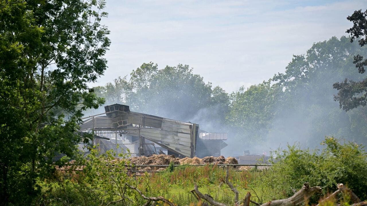 70 paarden dood door brand in stoeterij in Normandië | VRT NWS: nieuws