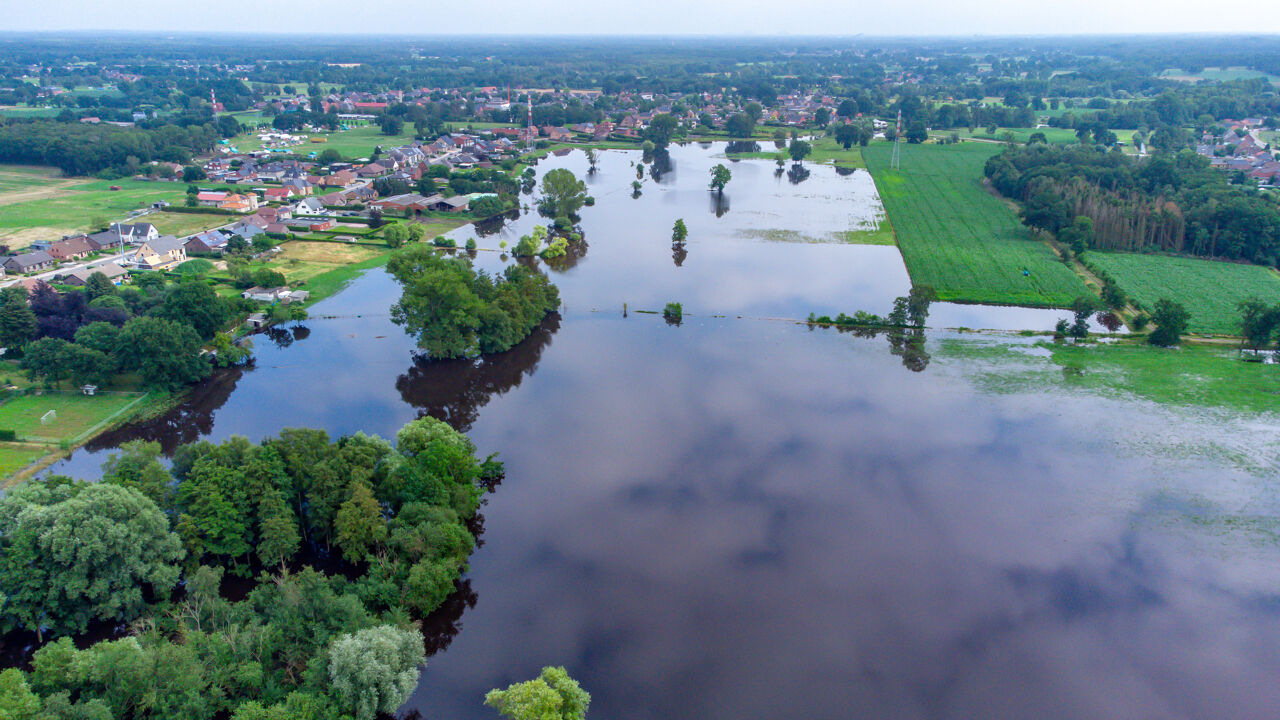 Meer water opvangen in de Dommel en wachtbekken in Pelt: landschap ...