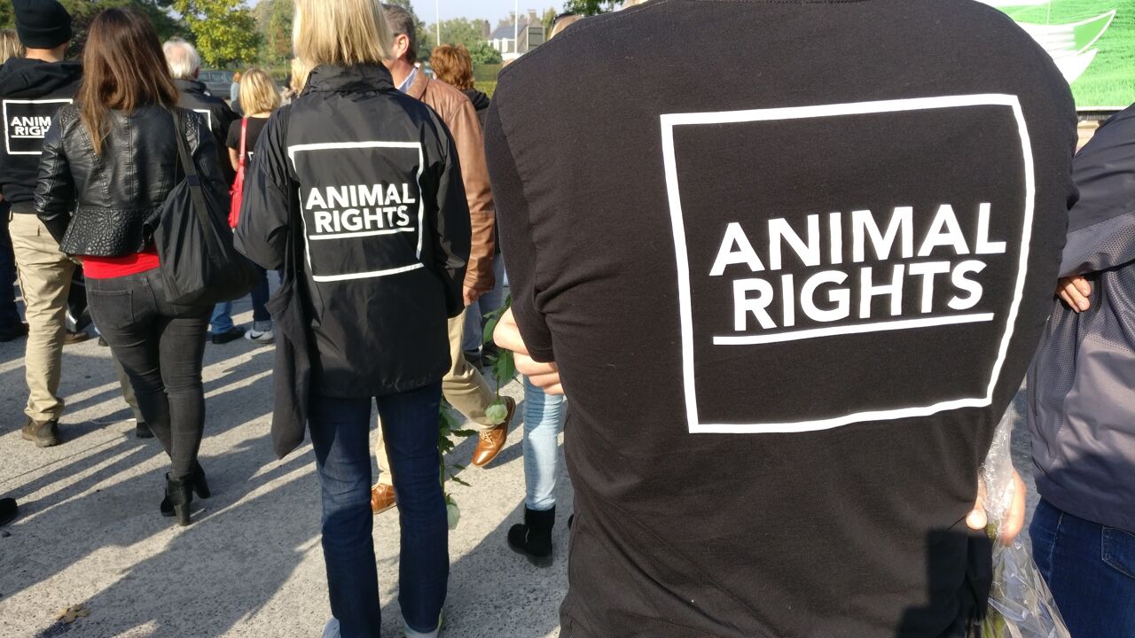 “Animal rights organisations no longer able to bring cases on account ...