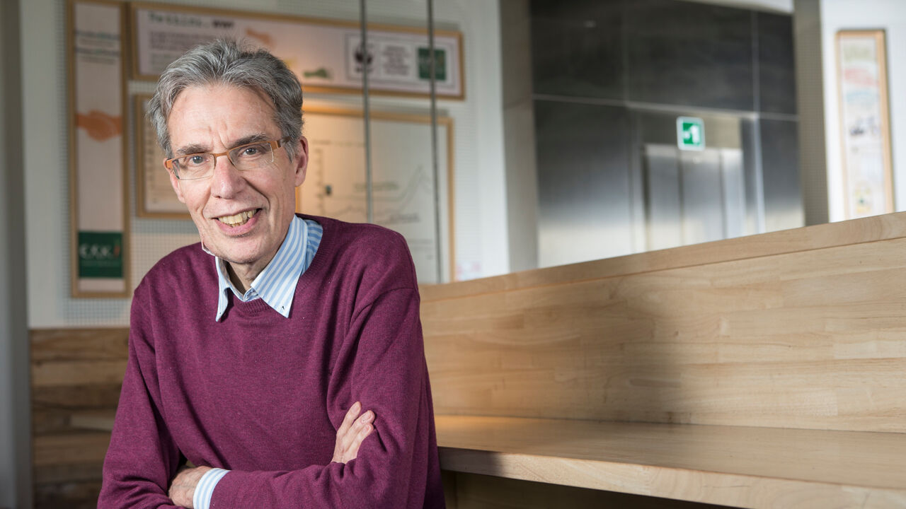 Deze Belgen worden dit jaar bekroond op de nationale feestdag: Stromae ...