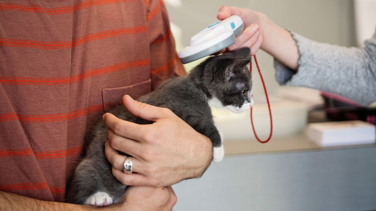 15 jaar lange zoektocht krijgt hartverscheurend einde in Heverlee ...