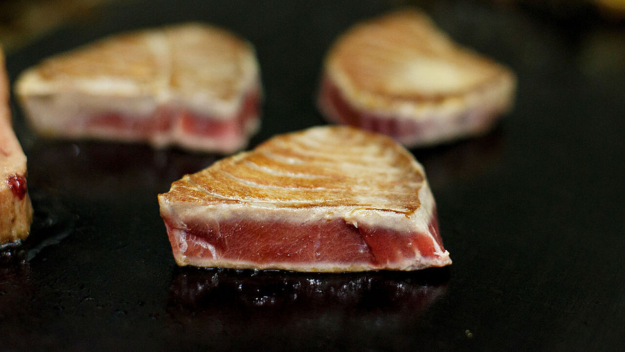 'Keizer van de oceaan' is terug: Atlantische blauwvintonijn beleeft ...