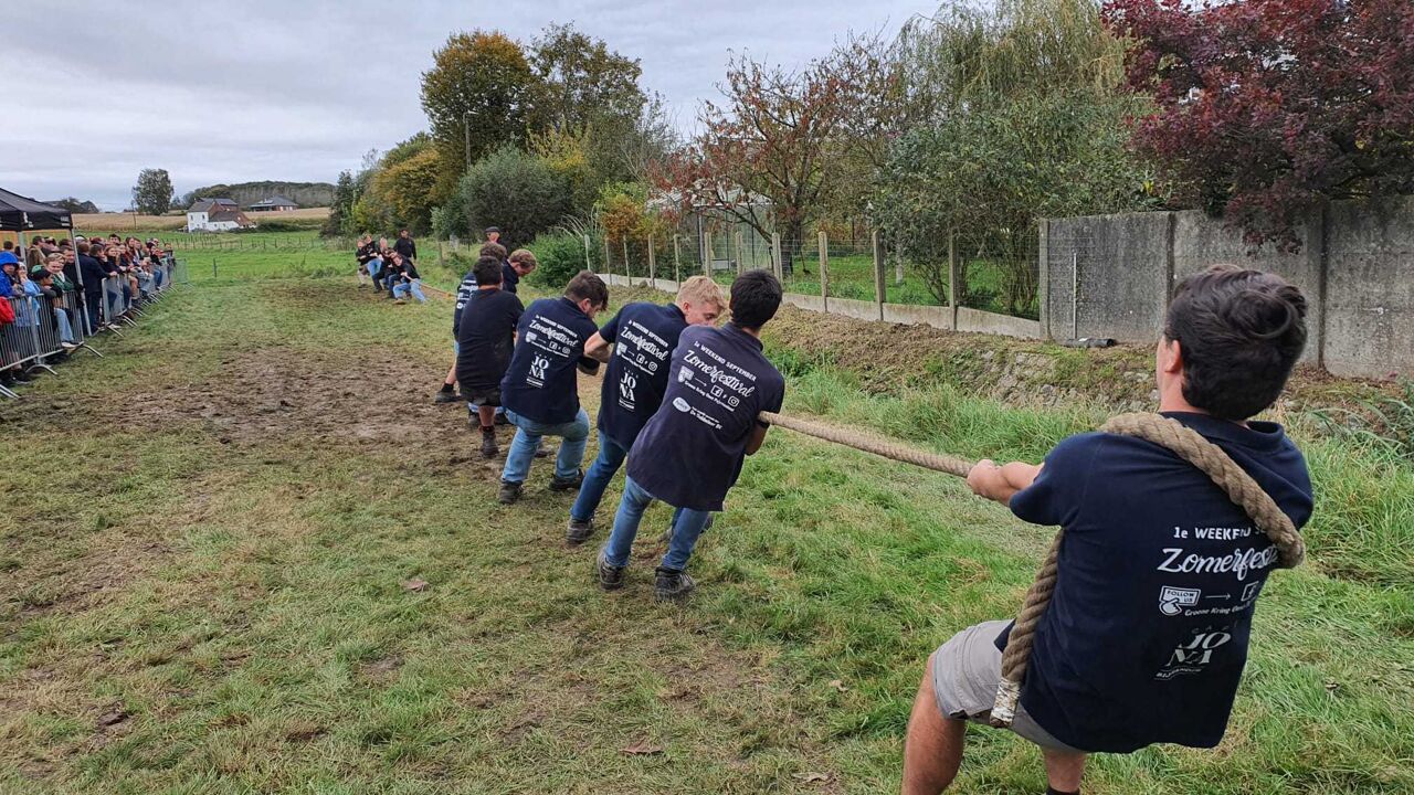 Dag van het Brabantse trekpaard in Vollezele: "Grote beesten met een ...