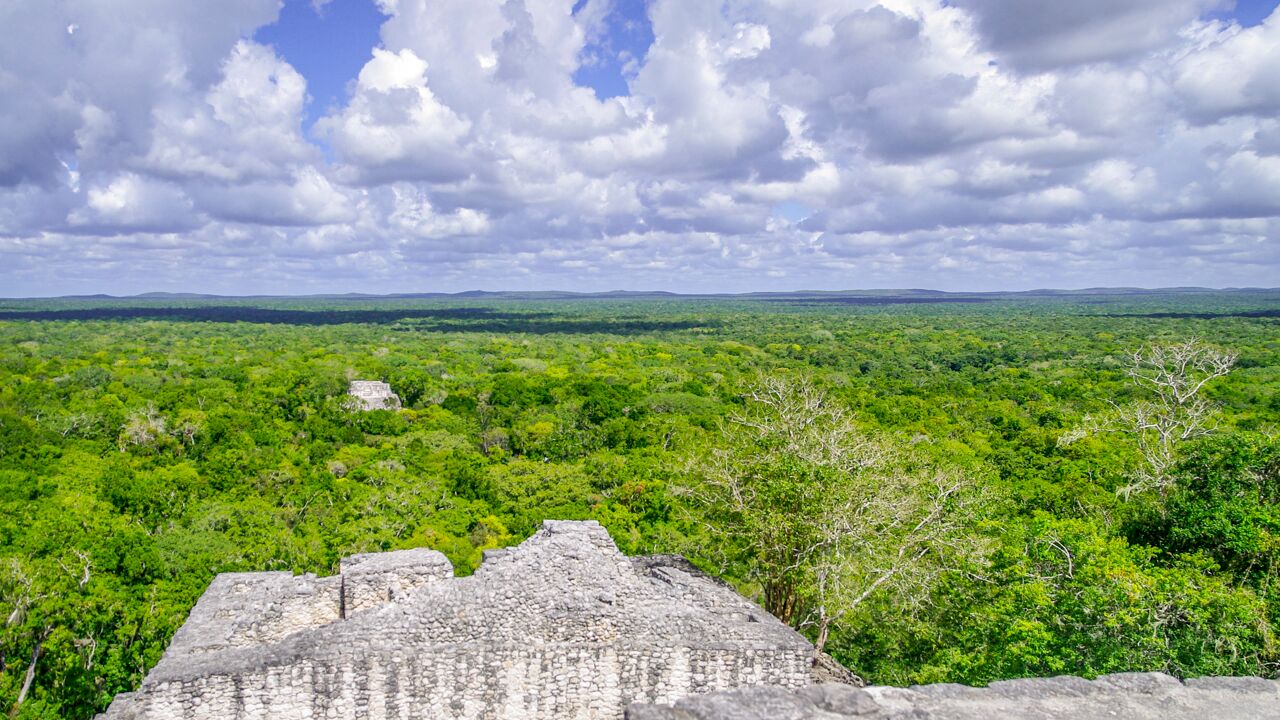 Eeuwenoude Maya-stad met meer dan 6.500 gebouwen bij toeval ontdekt in ...