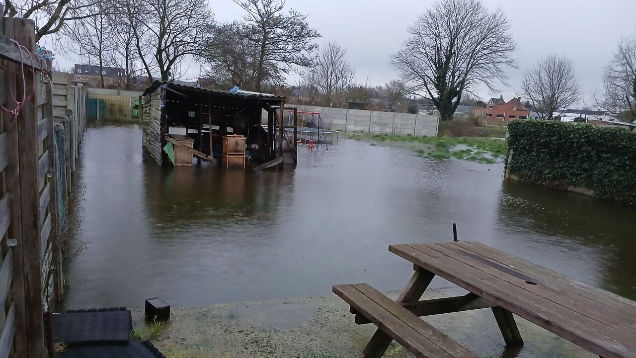 Tuinen en kelders onder water in Beringen, maar gemeente vindt geen ...
