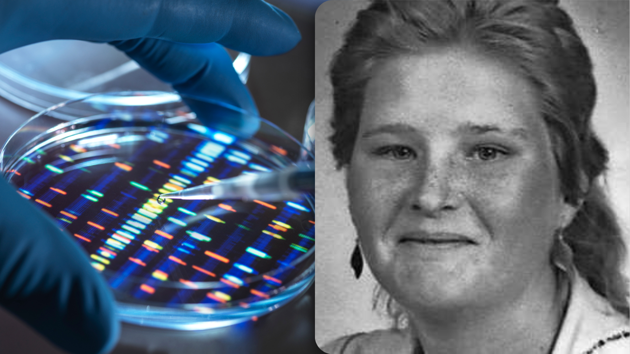 Vorig jaar 3 lichamen vermiste personen geïdentificeerd dankzij DNA ...