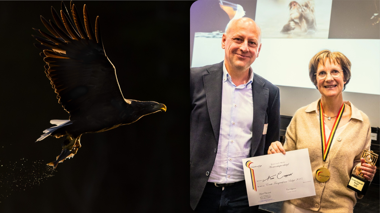 Ann Coppens uit Sint-Gillis-Waas is de nieuwe 'Eerste Fotografe van ...