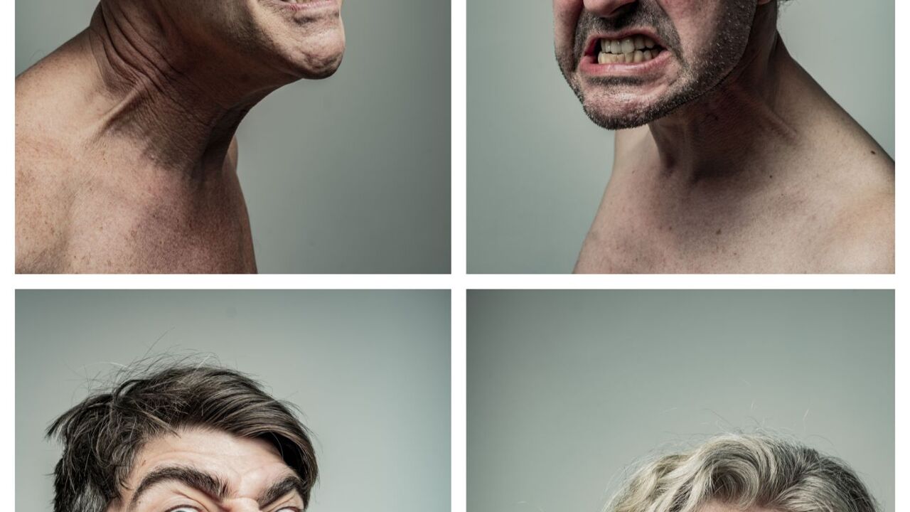 Dimitri Leue brengt 'Van den vos' met Han Coucke en Frank Focketyn ...