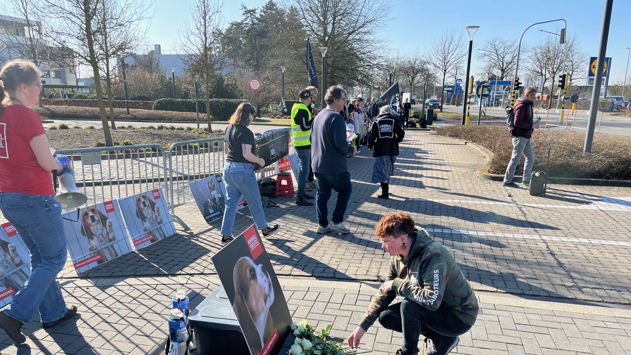 Animal Rights voert actie voor poorten van Johnson & Johnson in Beerse ...