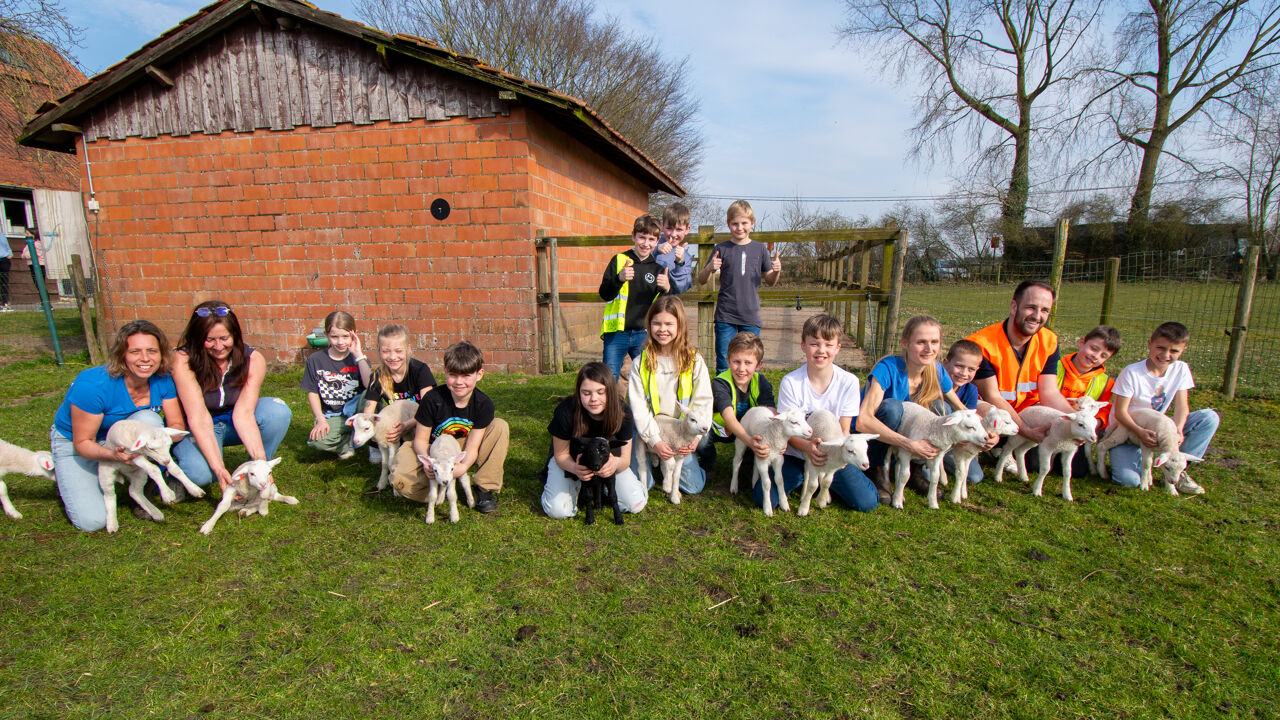 Torhout children’s farm experiences ‘baby boom’ thanks to super ...