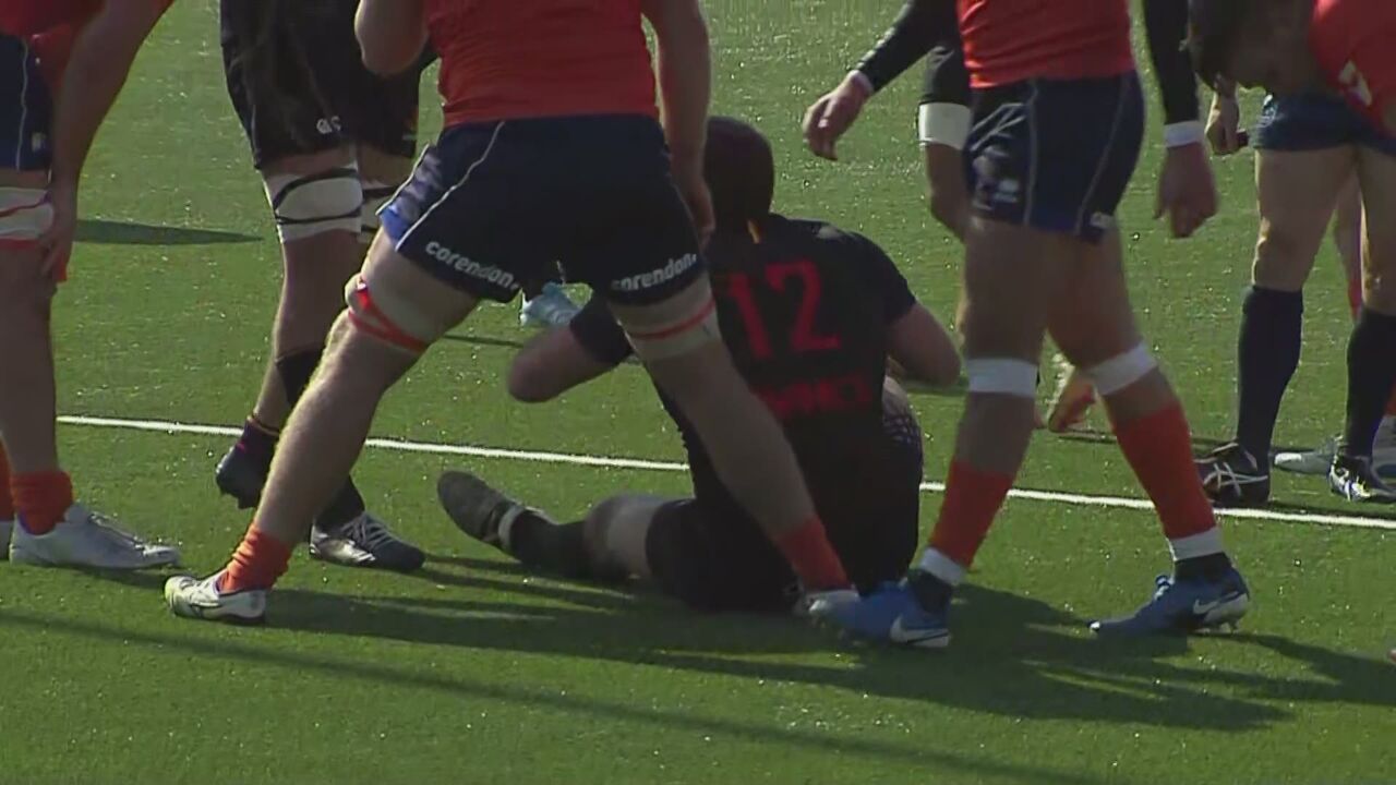 België op het WK rugby? Na klinkende zege in Nederland maken Zwarte ...