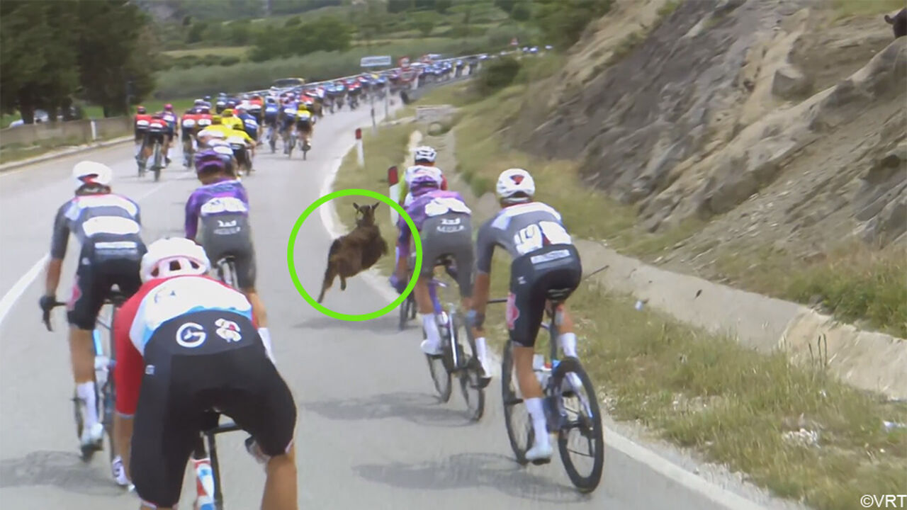 Wielertransfers: Giro-renner die aangevallen werd door geit vindt ...