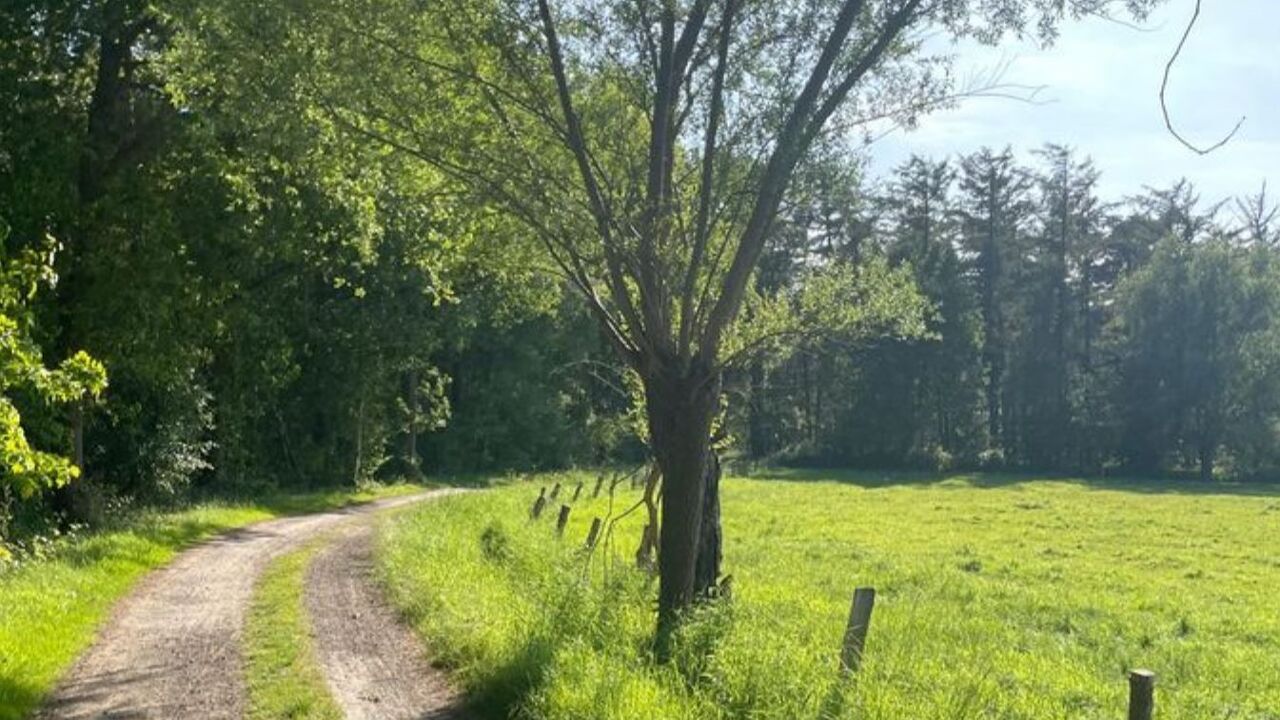 Ontdek de Onverhard-gravelroute in Jabbeke mét extra's (36 km) | sporza