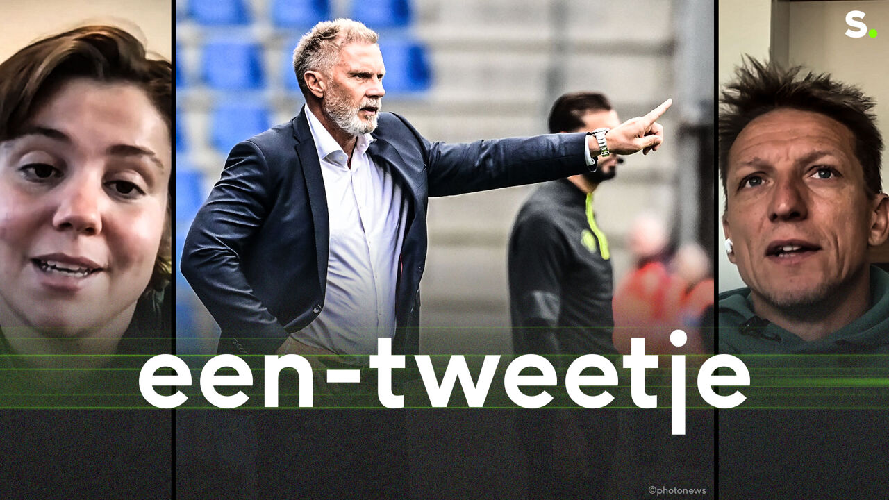 Weer assistent weggeplukt bij Club Brugge: Hayk Milkon is nieuwe hoofdcoach van Dender | sporza