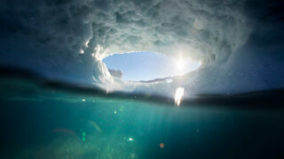 "Sterkste noordpoolijs" breekt voor het eerst open | VRT NWS: nieuws