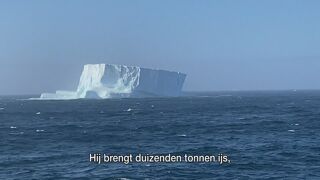 Grootste ijsberg van de wereld stevent af op eiland Zuid-Georgia | VRT ...