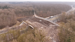 Nieuw ecoduct aan Hallerbos geopend: "Niet alleen dieren, maar ook ...