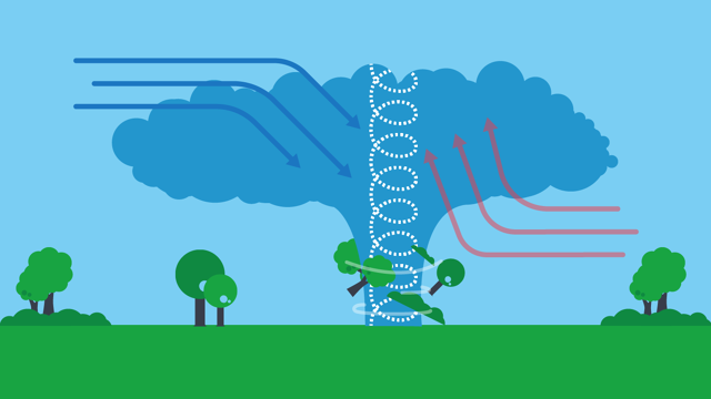 Hoe uitzonderlijk is een windhoos of tornado in ons land? En valt dat ...