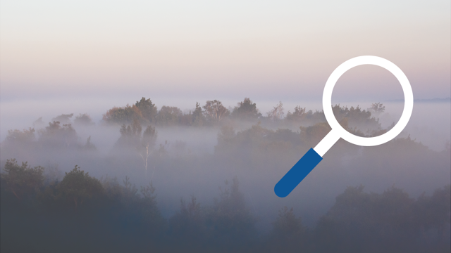 Zoek | VRT NWS: nieuws