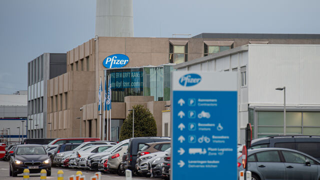 Pfizer wil 255 medewerkers laten afvloeien in Puurs | VRT NWS: nieuws