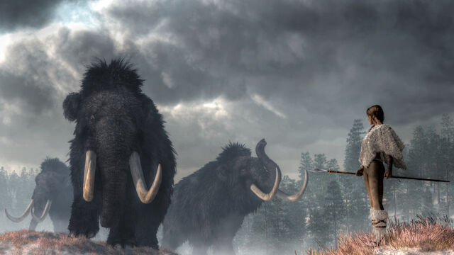 Resten van wellicht oudste brood ooit ontdekt dat Neanderthalers 70.000 ...