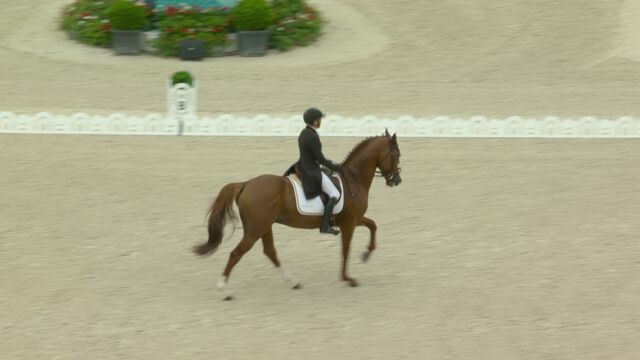 Karin Donckers en Lara de Liedekerke openen sterk in de eventing, Tine ...