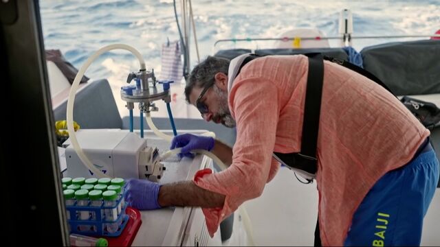 'LuckyB': viroloog Steven Van Gucht ontdekt nieuw virus tijdens 'Over ...