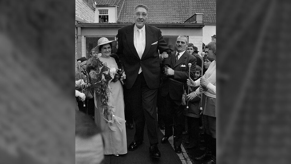 Belgische mannen bijna grootste ter wereld na tussenspurt | VRT NWS: nieuws