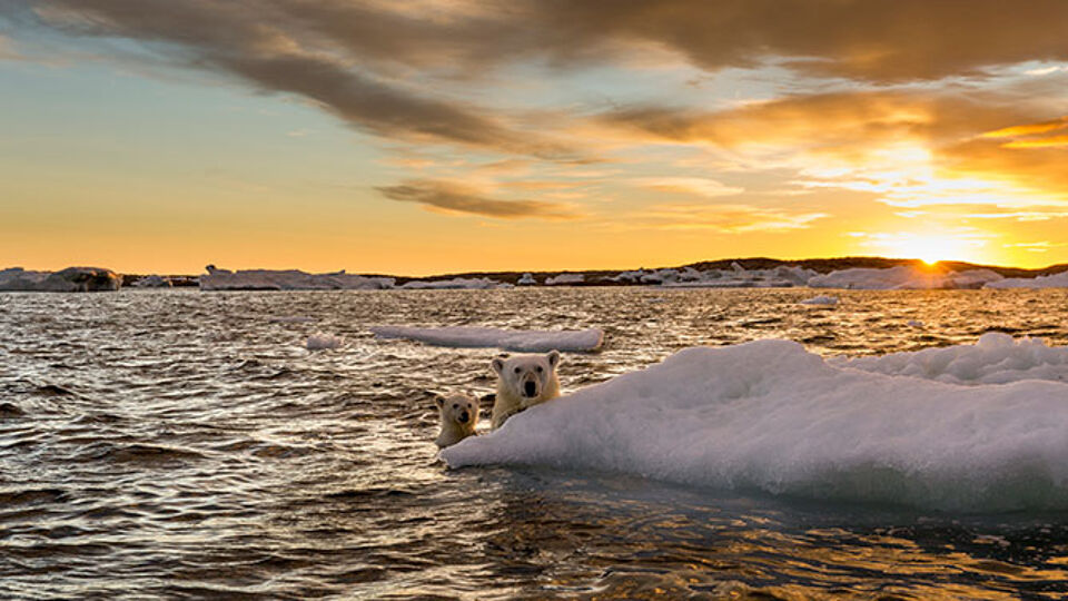 Waarom is de Noordpool sneller aan het smelten dan de Zuidpool? | VRT ...