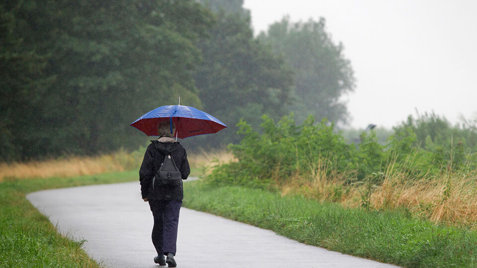 "Onstuimig en kletsnat herfstweer": veel regen en wind, KMI kondigt ...