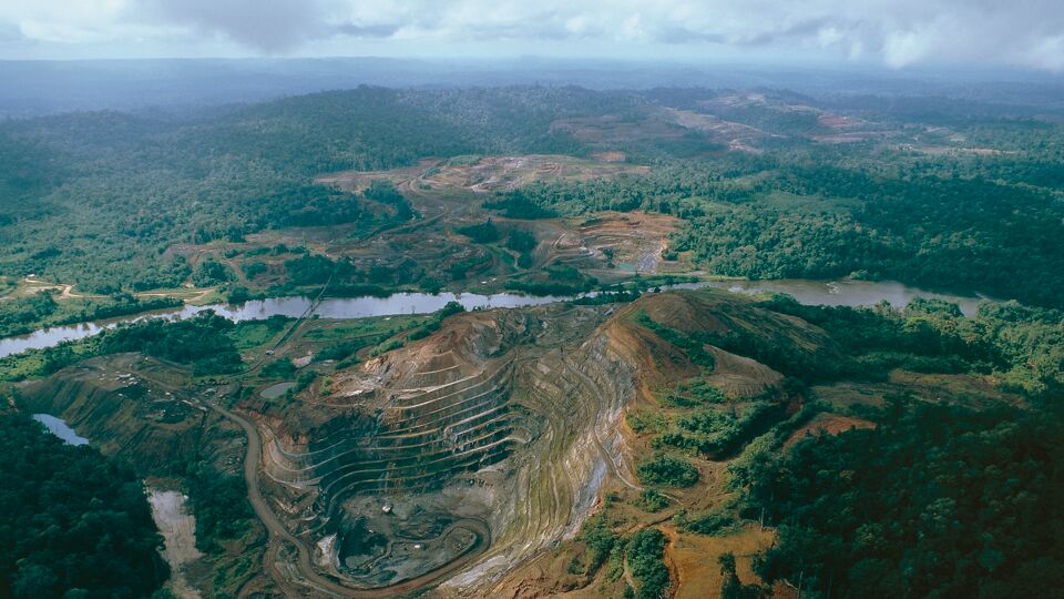 Brazilië stelt deel van Amazonewoud - zo groot als Zwitserland - open ...