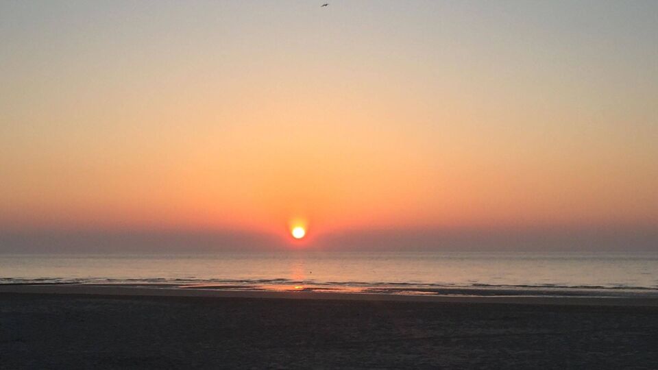 Langste dag van het jaar: hoe het niet volledig donker wordt en het ...