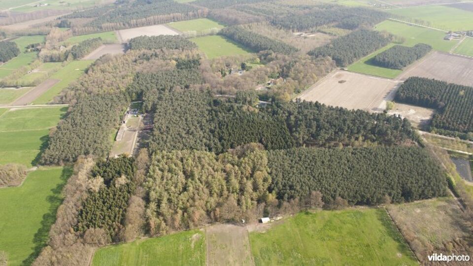 Nieuwe legerbasis in Vlaanderen komt in Aalter (en dus niet in ...