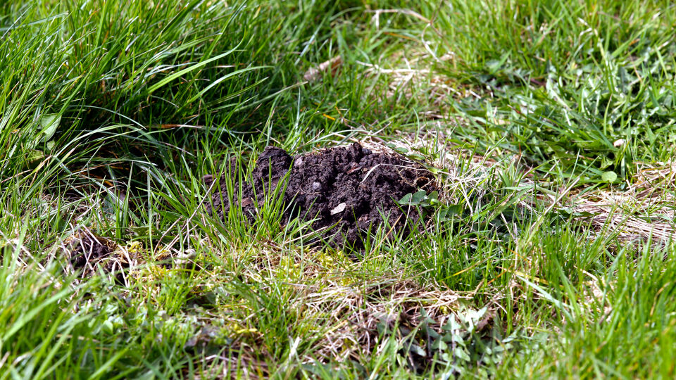 Hoe hebben 30 proefpersonen 4 weken in quarantaine doorstaan? Kijk mee ...