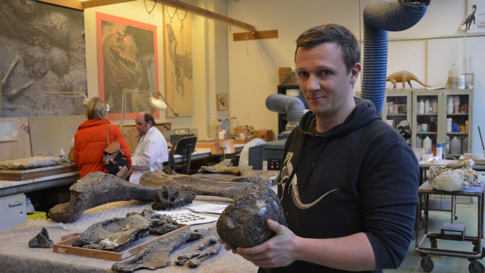 Skelet van 20 meter lange dinosauriër aangekomen in Museum voor ...