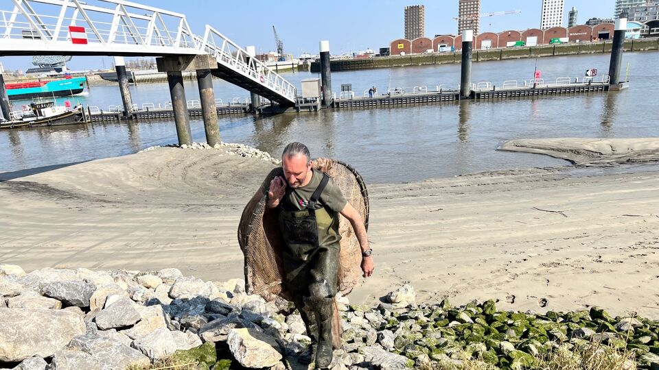 "Meer vis in de Schelde dan gedacht": Instituut voor Natuur- en ...