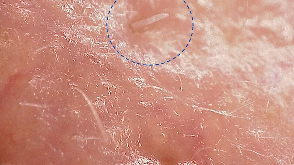 Binnen roken is nooit oké: de gevaren van passief roken | VRT NWS: nieuws