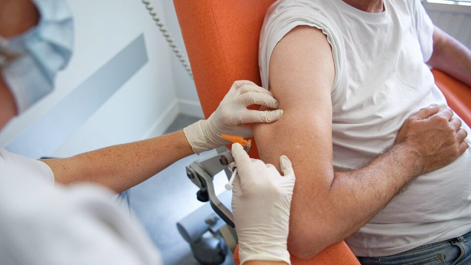 Apenpokken | VRT NWS: nieuws