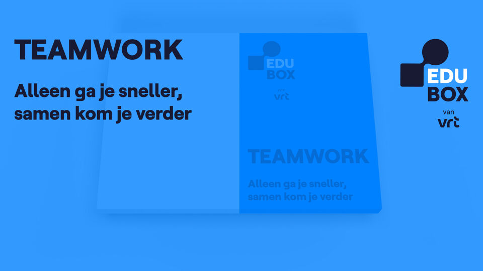 Teamwork: Alleen ga je sneller, samen kom je verder | VRT NWS: nieuws