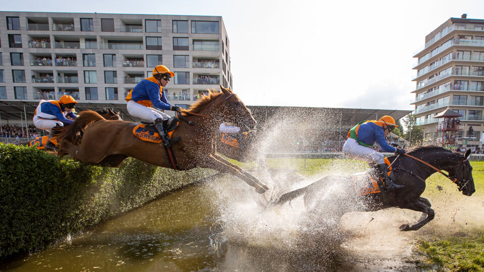 175 jaar Waregem Koerse: "Paardenrennen waren lang mannenbastion, die ...